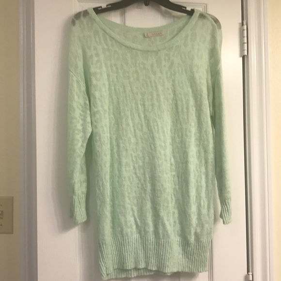 hinge | Sweaters | Mint Leopard Print Sweater | Poshmark